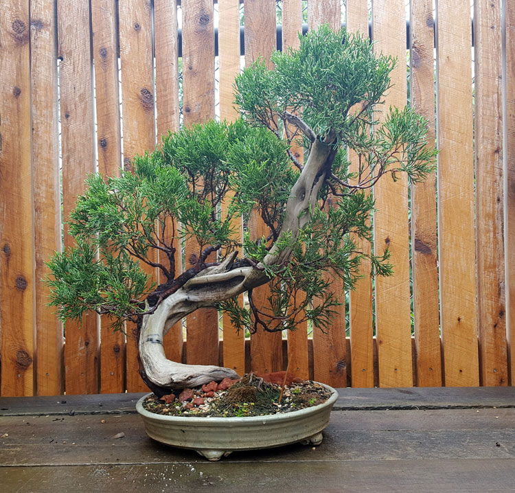 The Hive | The Hive Ocean Grove